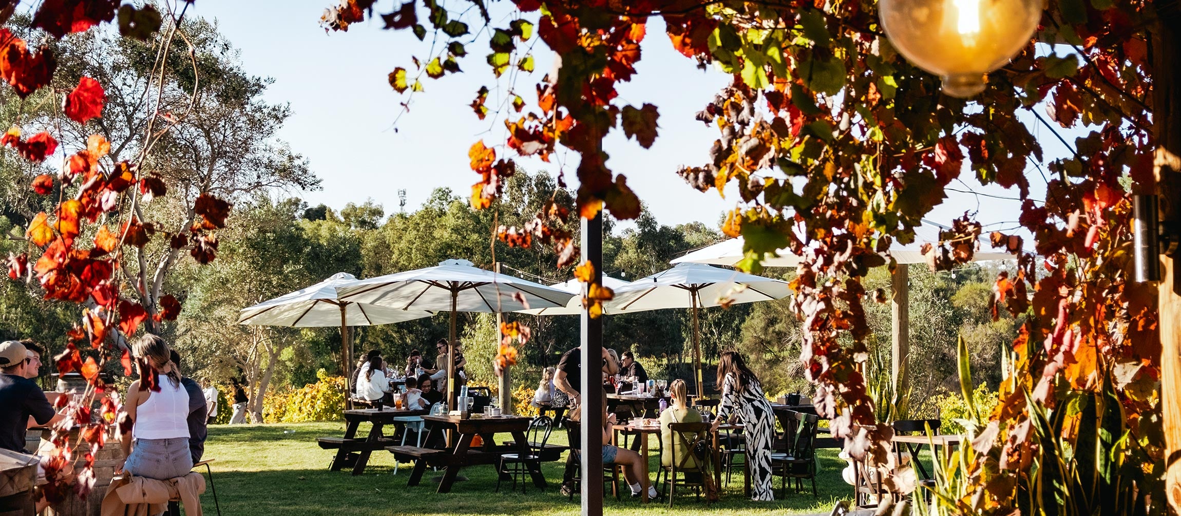 Wine, Dining & Events in Swan Valley, Perth, WA | Edgecombe Winery